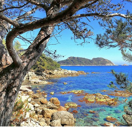 Art Holidays Côte d'Azur :: Progettoecate